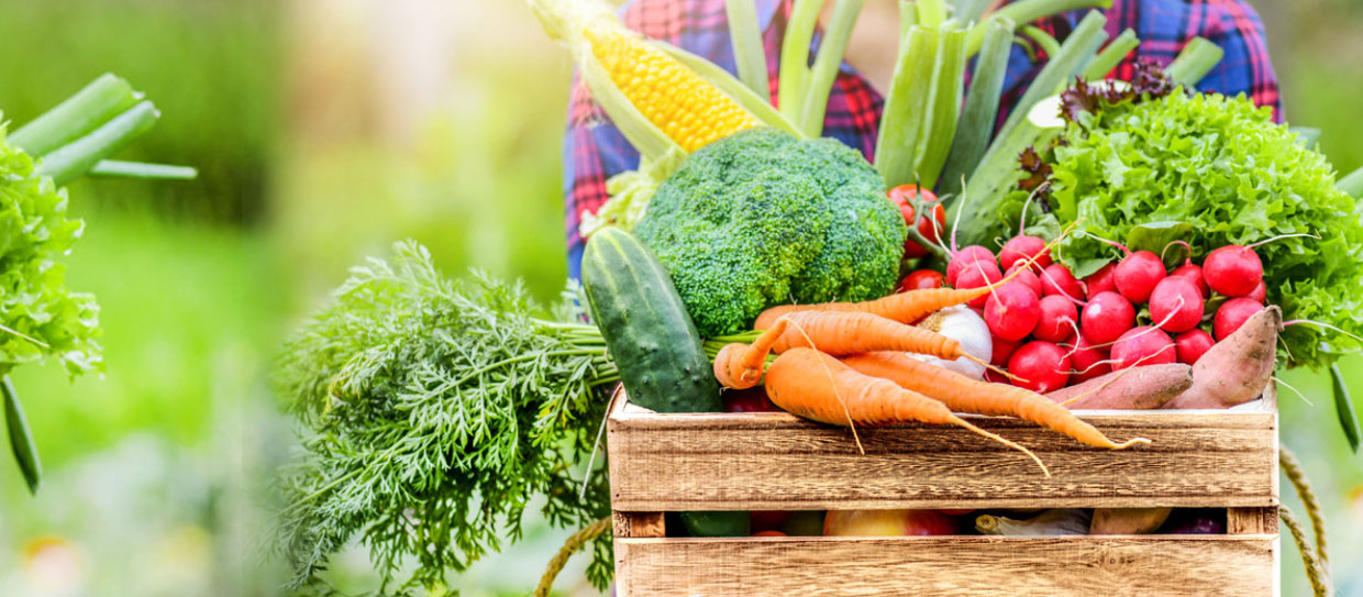 About Us – FarmersHub